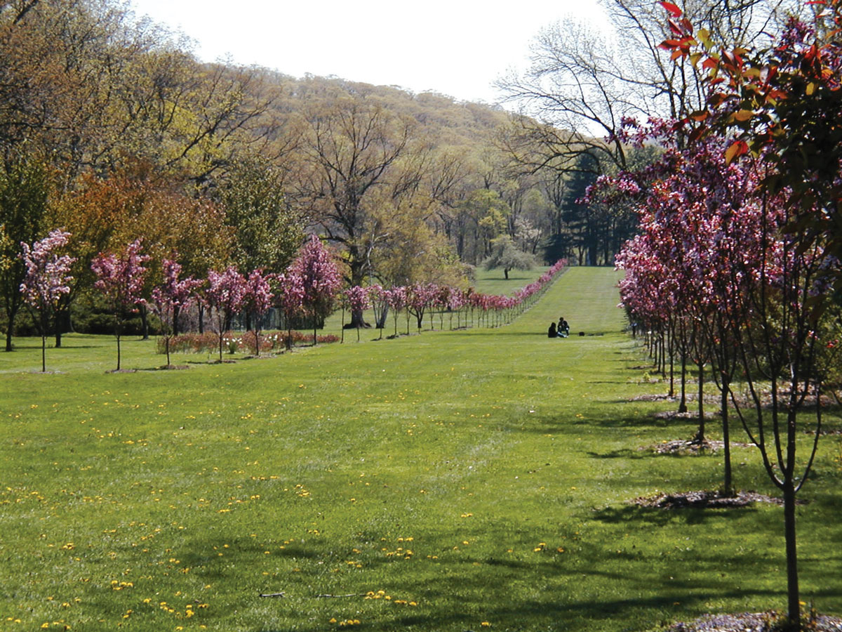 Passaic County Winner - NJ's Best Towns for Families 2019 - NJ Family