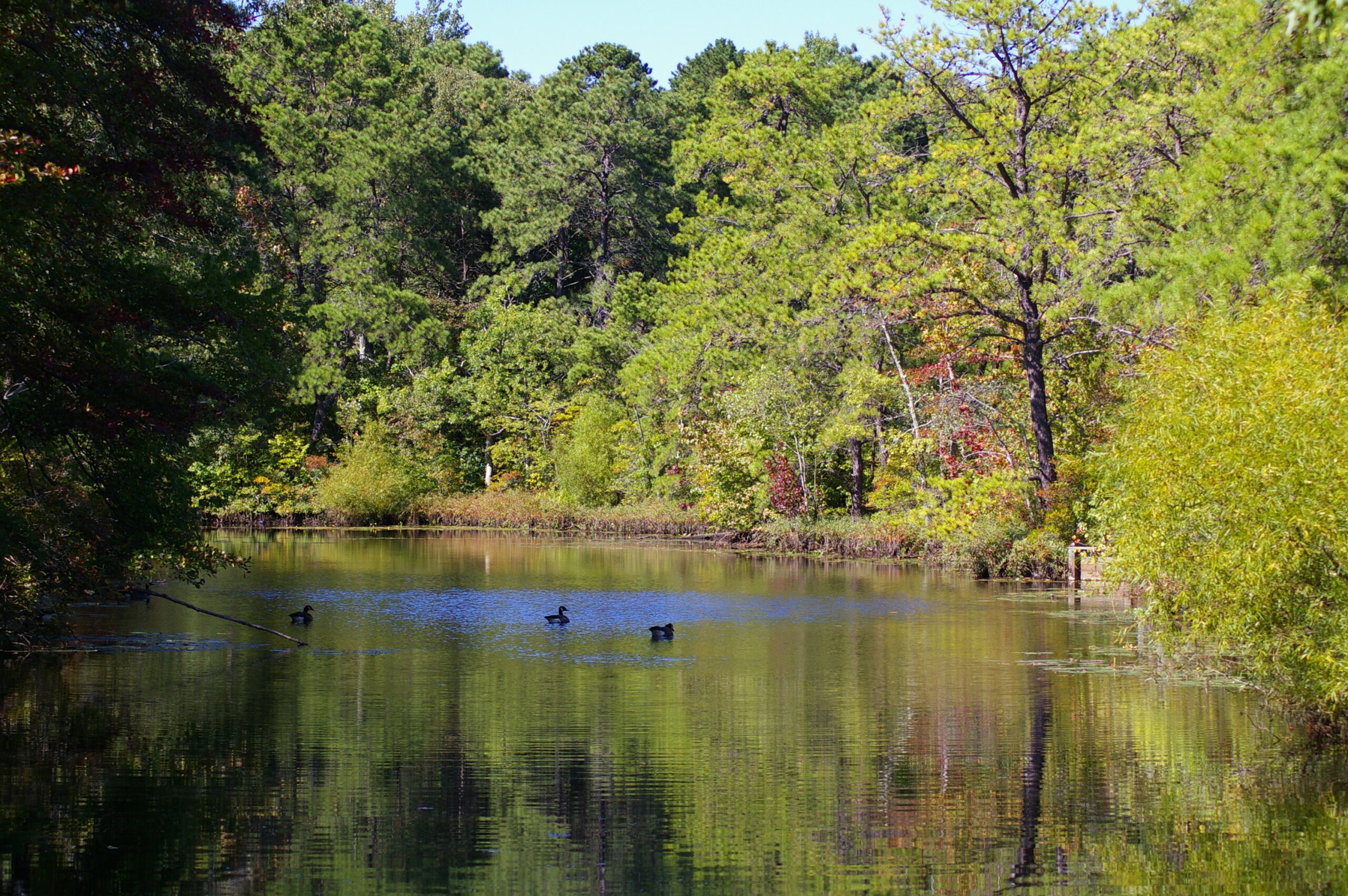 Atlantic County Towns Top 10 - Best Towns for Families 2019 - NJ Family