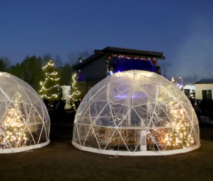 A Festive North Pole Experience With Santa is Happening in This South ...
