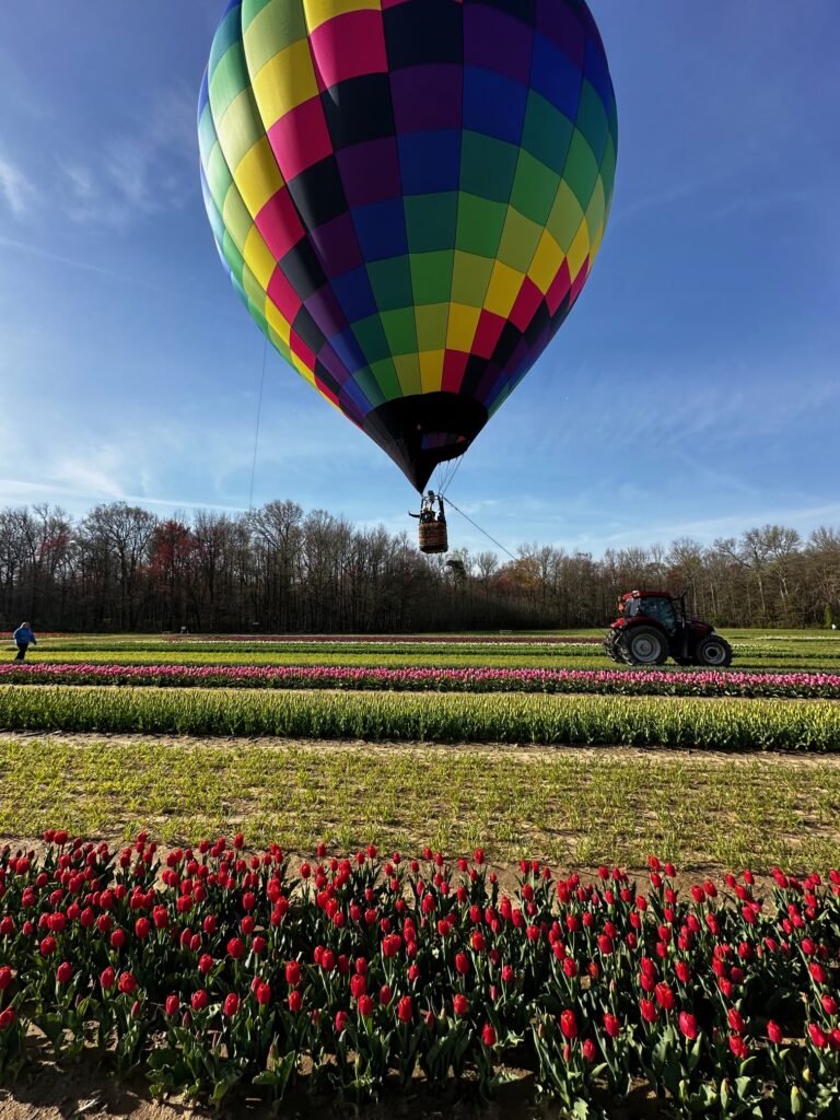 Dalton Farms Tulip Festival is a Can't-Miss and Tickets Are On Sale ...