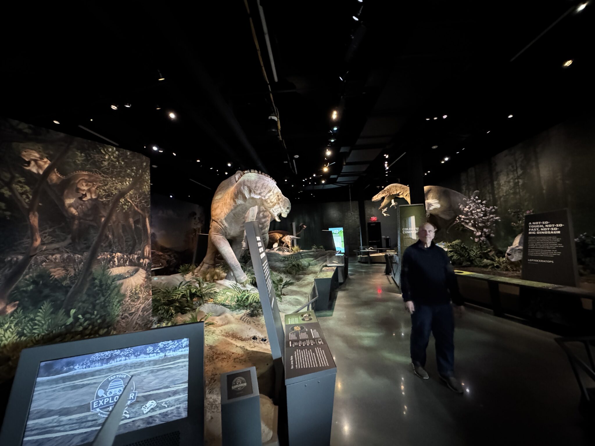 We Got a Sneak Peek at South Jersey's New Fossil Park & Museum and It's ...