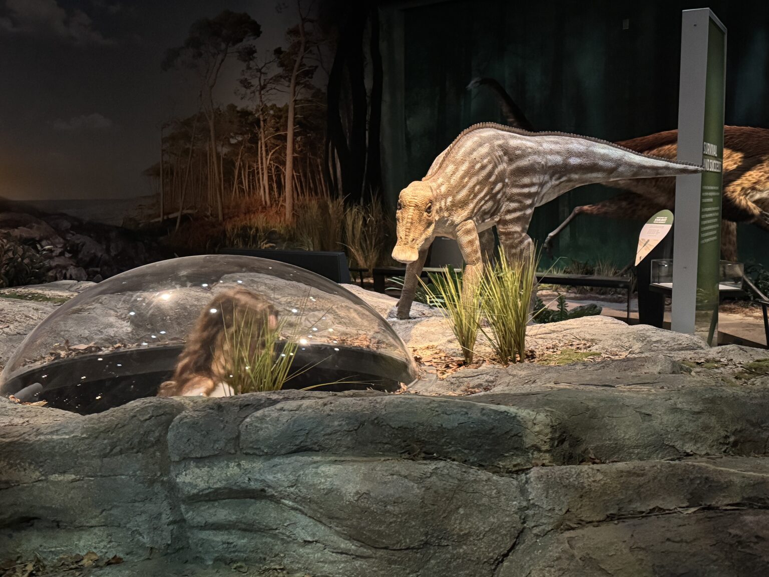 We Got a Sneak Peek at South Jersey's New Fossil Park & Museum and It's ...