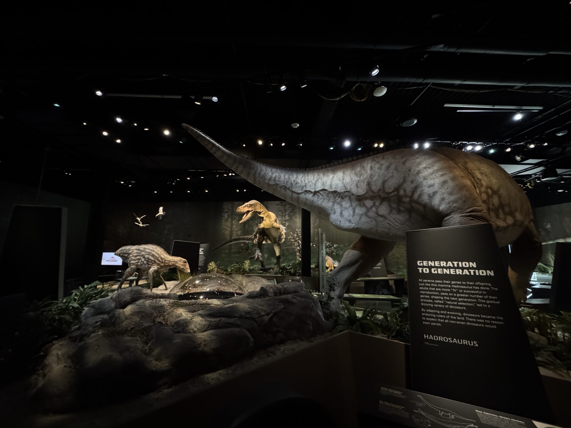 We Got a Sneak Peek at South Jersey's New Fossil Park & Museum and It's ...