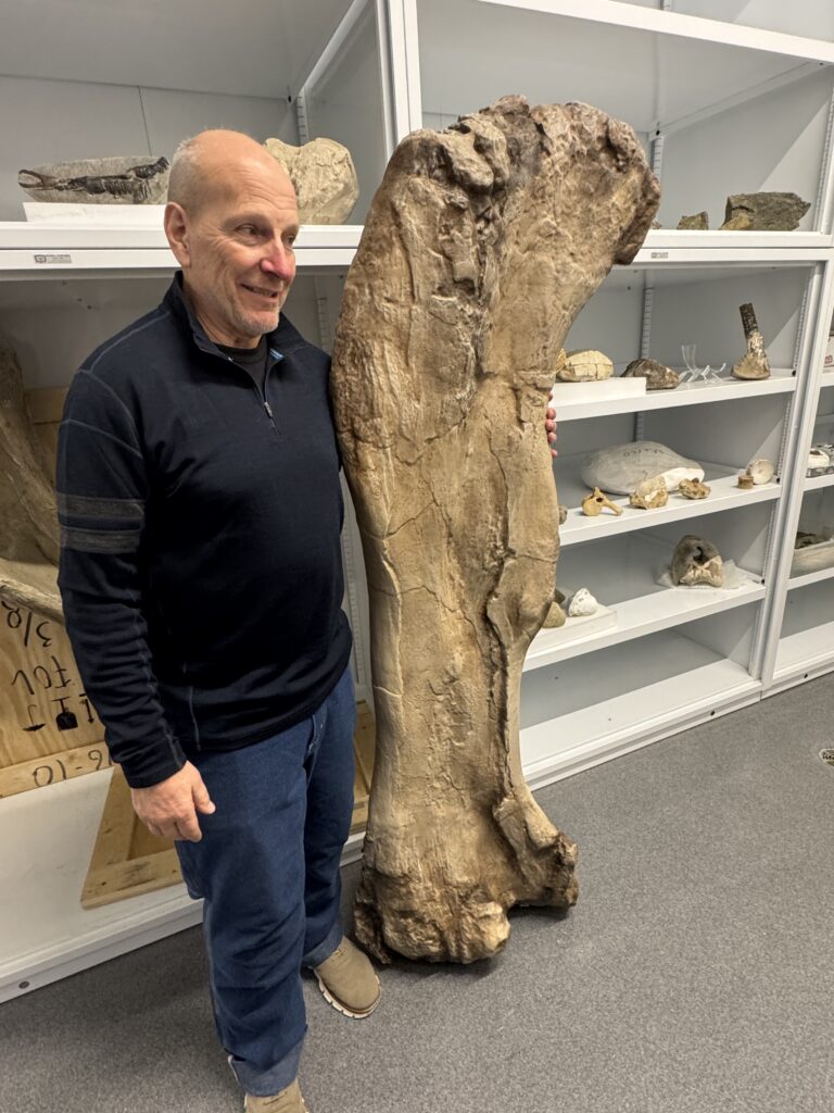 We Got a Sneak Peek at South Jersey's New Fossil Park & Museum and It's ...