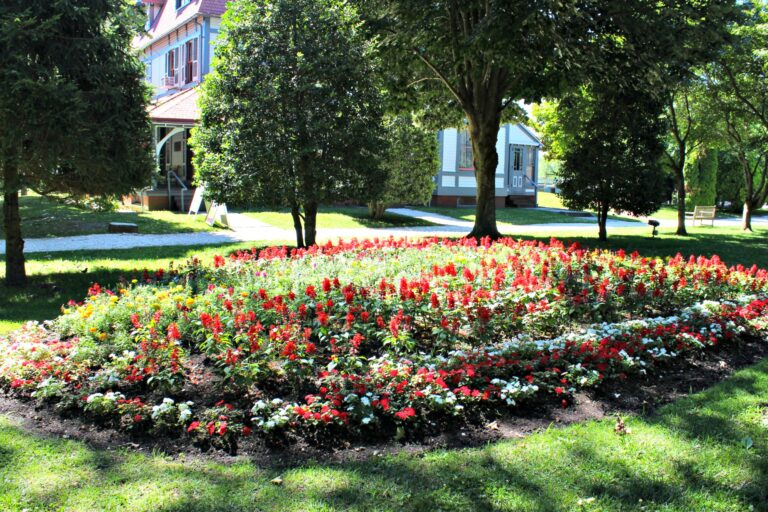Best Gardens and Parks to See Spring Flowers in New Jersey - NJ Family