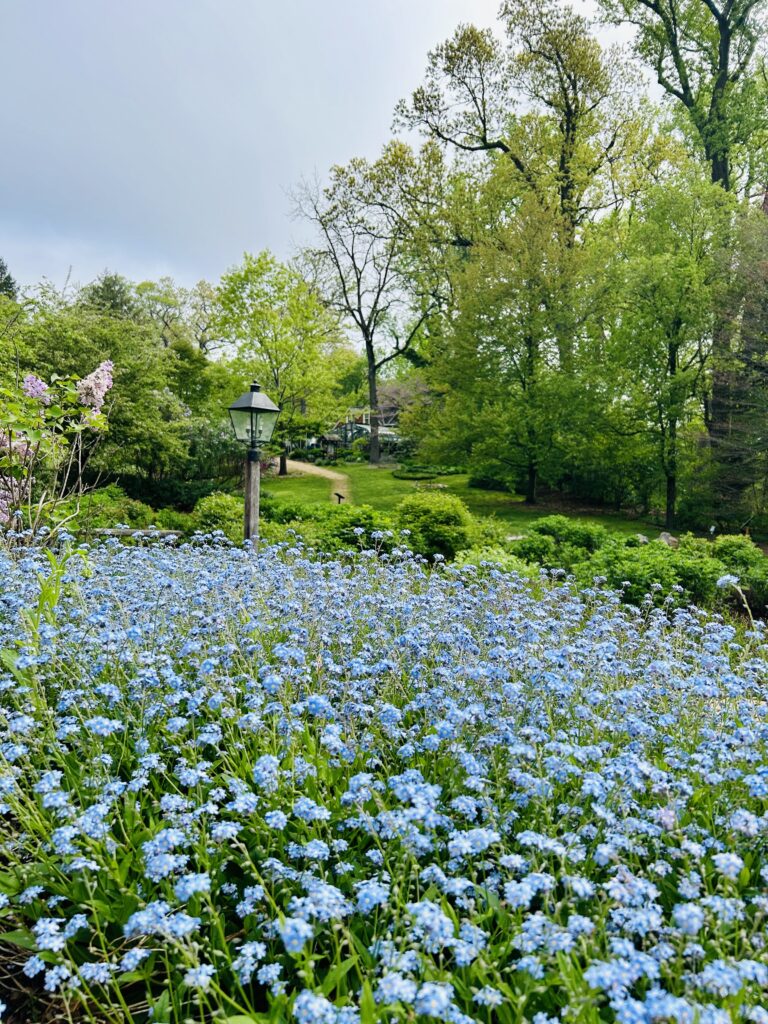 Best Gardens and Parks to See Spring Flowers in New Jersey - NJ Family