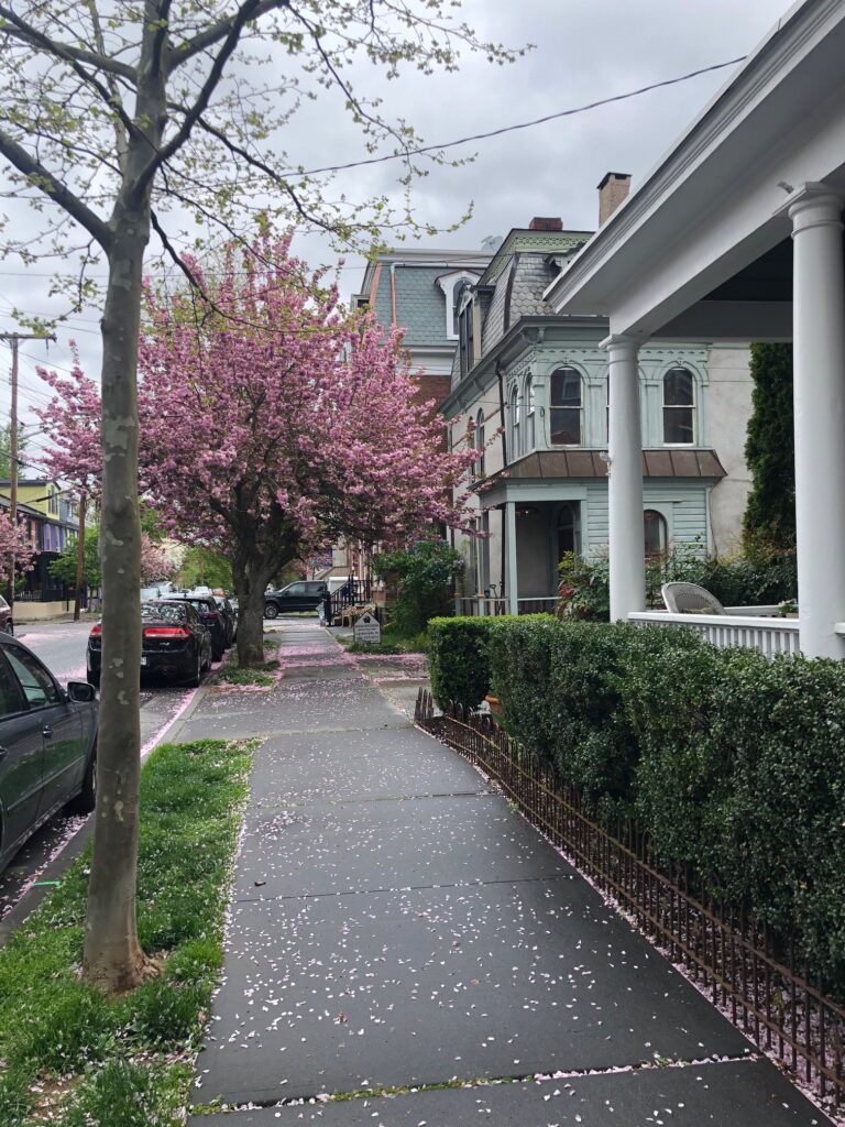 HGTV Says This NJ Gem Is One of the Country's Most Charming Small Towns ...