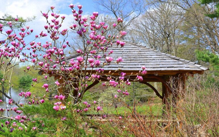 Best Gardens and Parks to See Spring Flowers in New Jersey - NJ Family