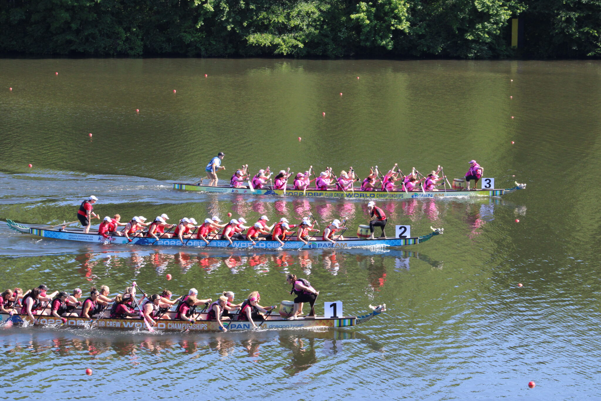 Machestic Dragons: Paddle for Pink Dragon Boat Racing Fundraiser - NJ ...