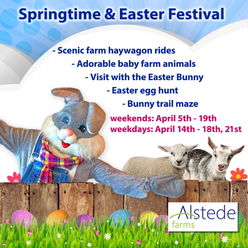Springtime & Easter Festival at Alstede Farms - NJ Family