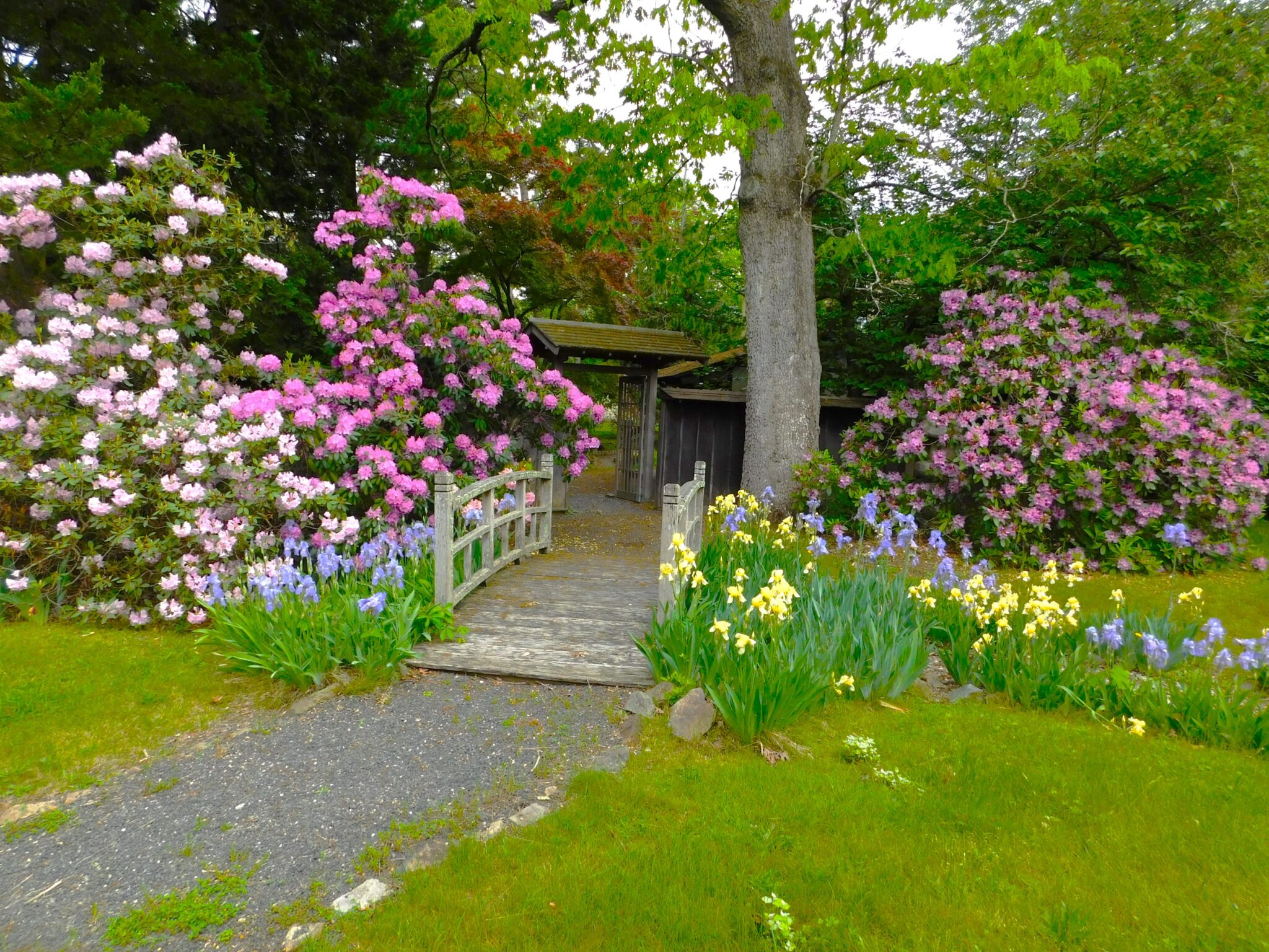 Best Gardens and Parks to See Spring Flowers in New Jersey - NJ Family
