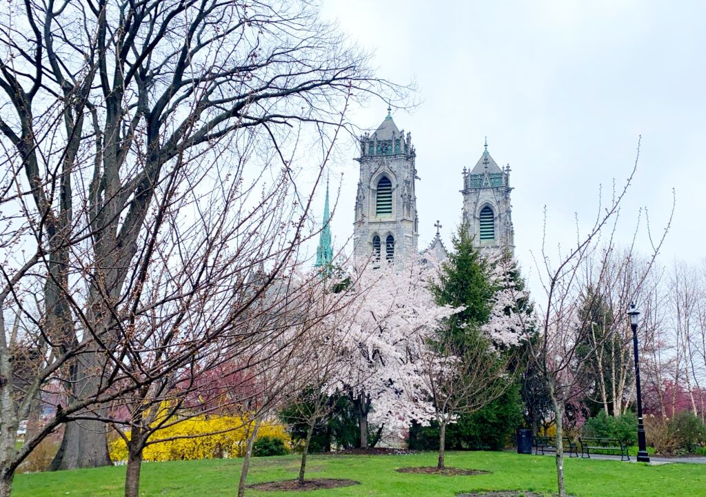 Find Out When To See The Cherry Blossoms at This New Jersey Park - NJ ...