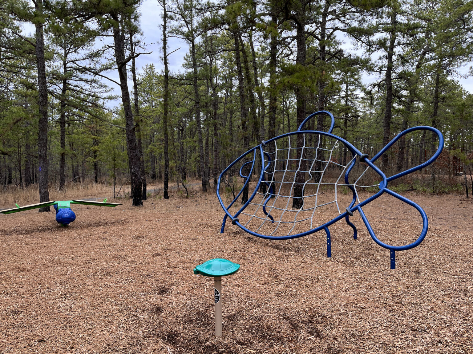 6 Unforgettable Outdoor Adventures to Take in NJ This Spring - NJ Family