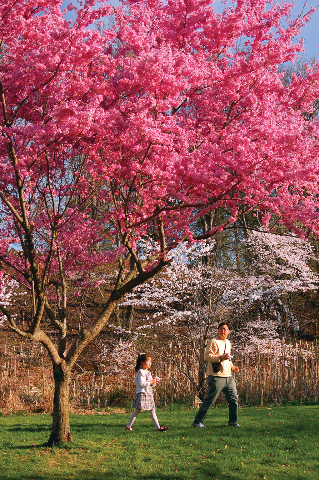 6 Unforgettable Outdoor Adventures to Take in NJ This Spring - NJ Family