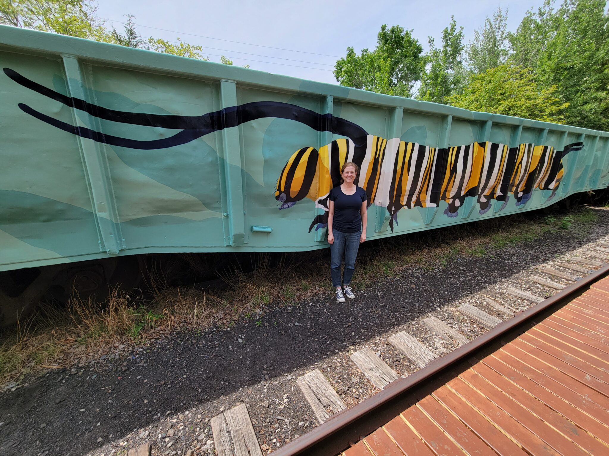 Ride a Rail Bike to Cape May’s Hidden Gem—A Preserve Filled with ...