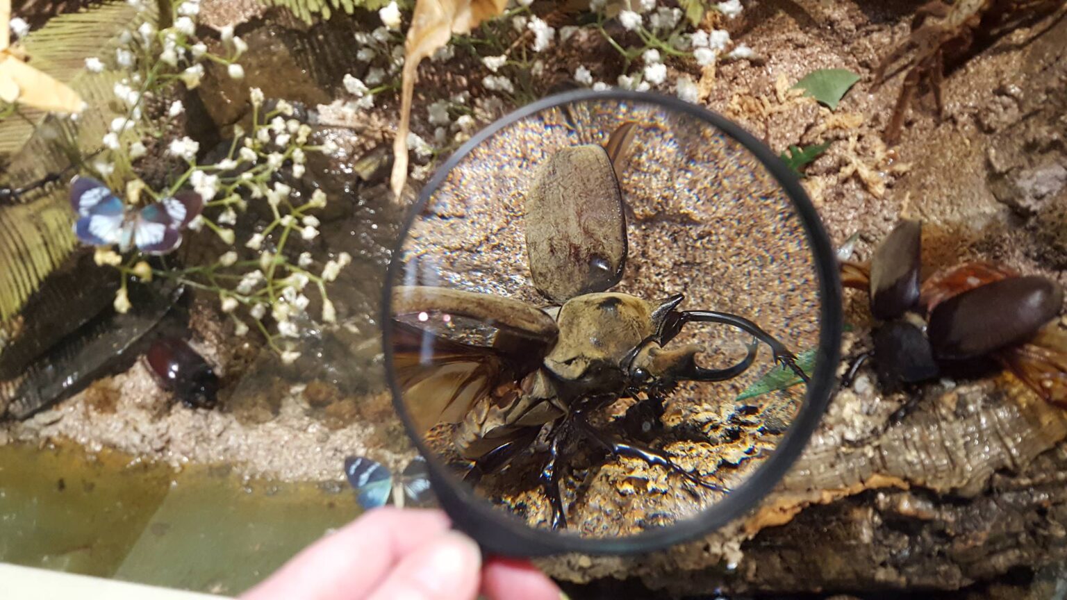 These 13 NJ Museums and Cultural Spots Are the State’s Best Kept ...