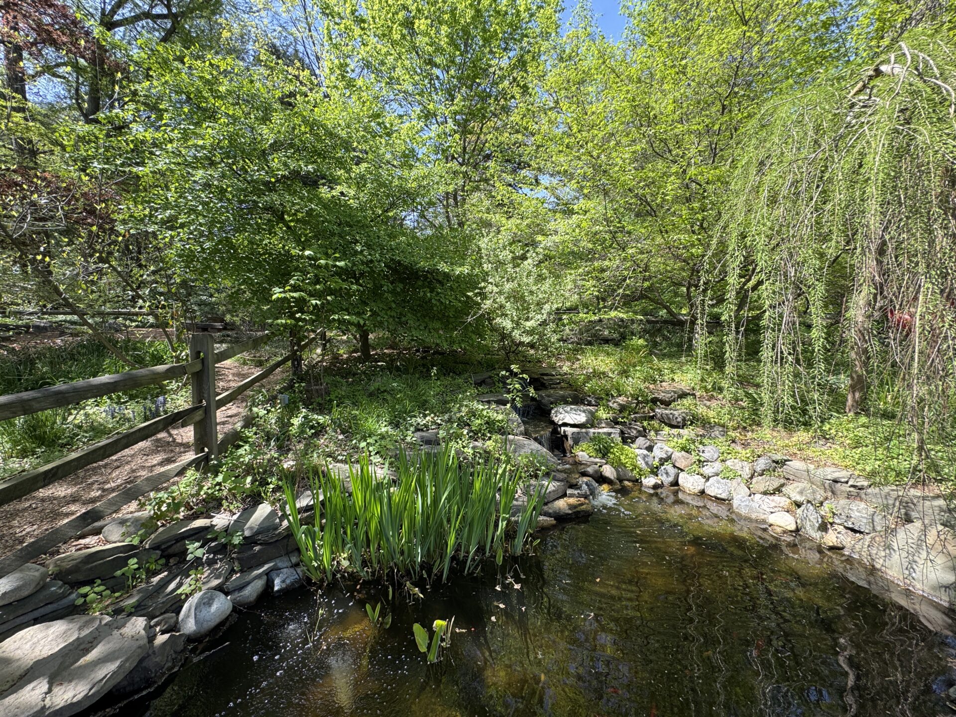 Reeves-Reed Arboretum in Summit Is a Peaceful Escape into Nature - NJ ...