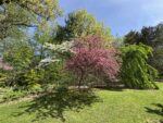 Reeves-Reed Arboretum in Summit Is a Peaceful Escape into Nature - NJ ...