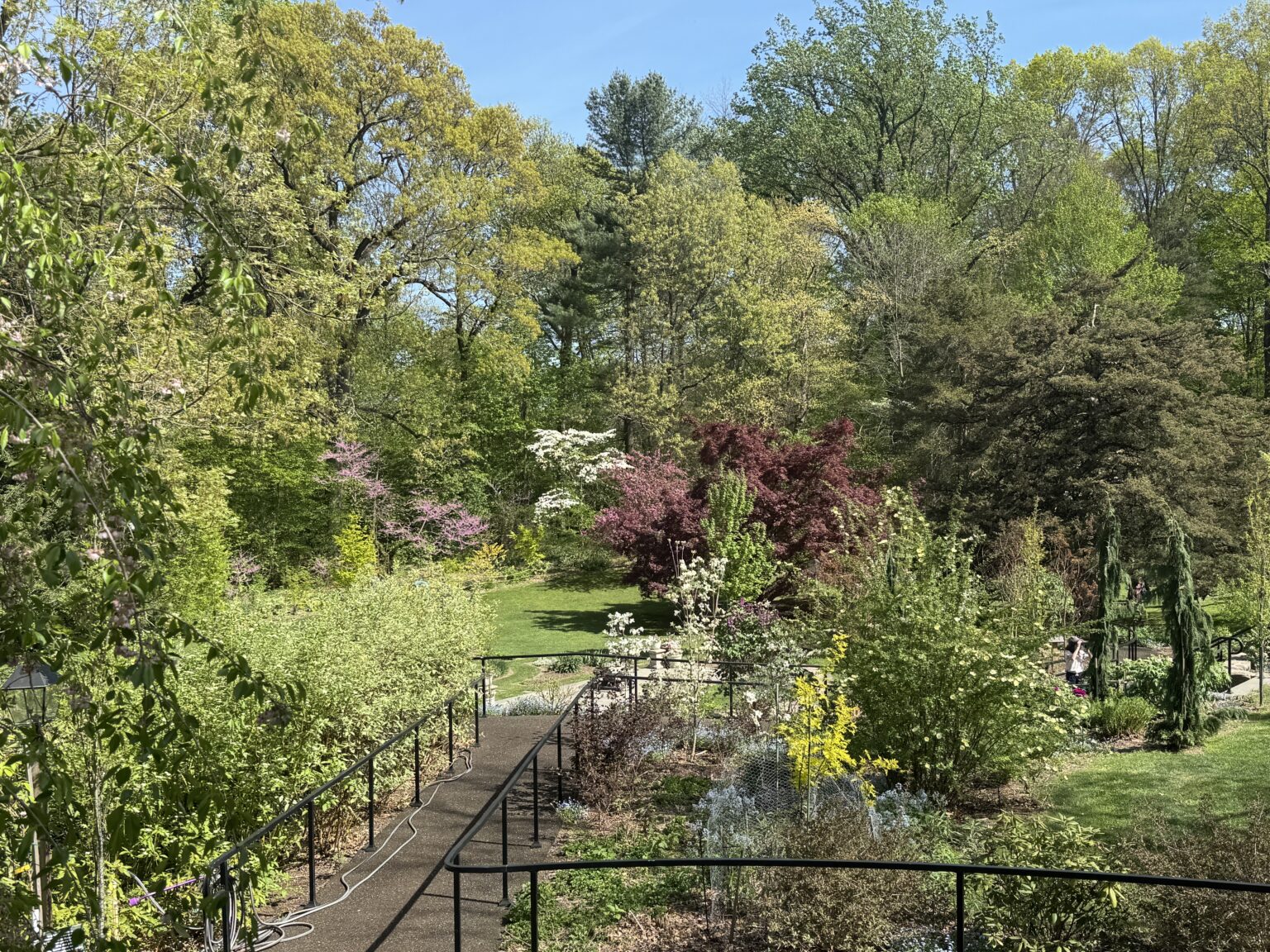Reeves-Reed Arboretum in Summit Is a Peaceful Escape into Nature - NJ ...
