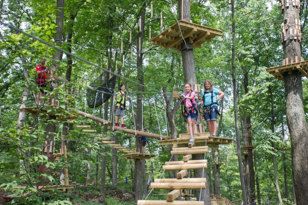 Get Ready for High-Flying Adventures at TreEscape Aerial Adventure Park ...