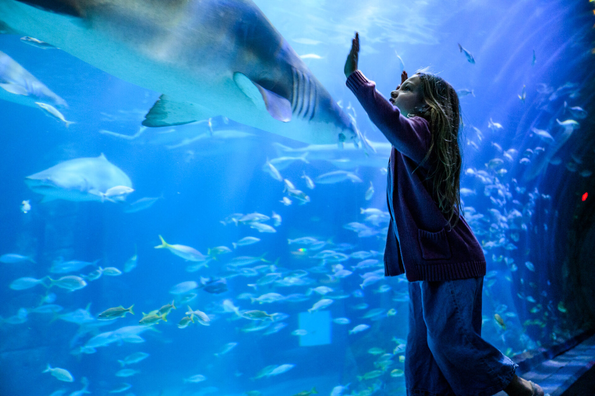 Best Things to Do in New Jersey This Weekend (August 1-3, 2025) - NJ Family