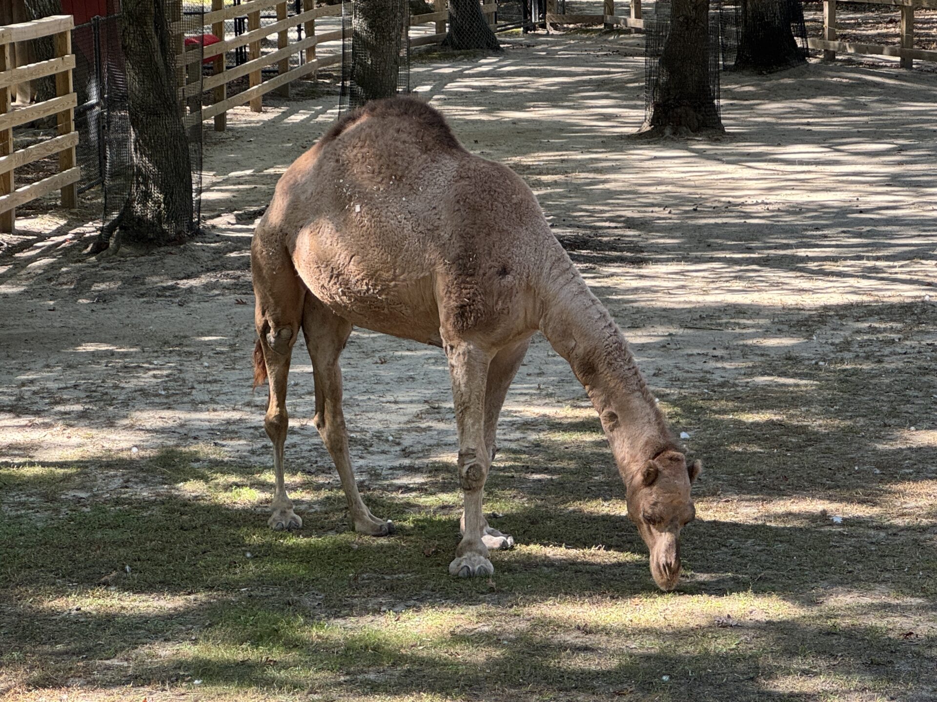 This Beloved Free NJ Zoo is A Top Attraction in the U.S. (2025 ...