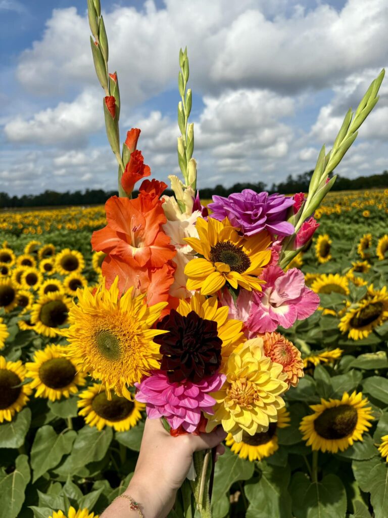 The Holland Ridge Fall Festival Is Almost Ready to Bloom With New ...