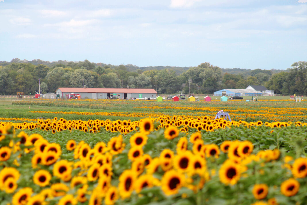 New Jersey's Best Fall Festivals - NJ Family