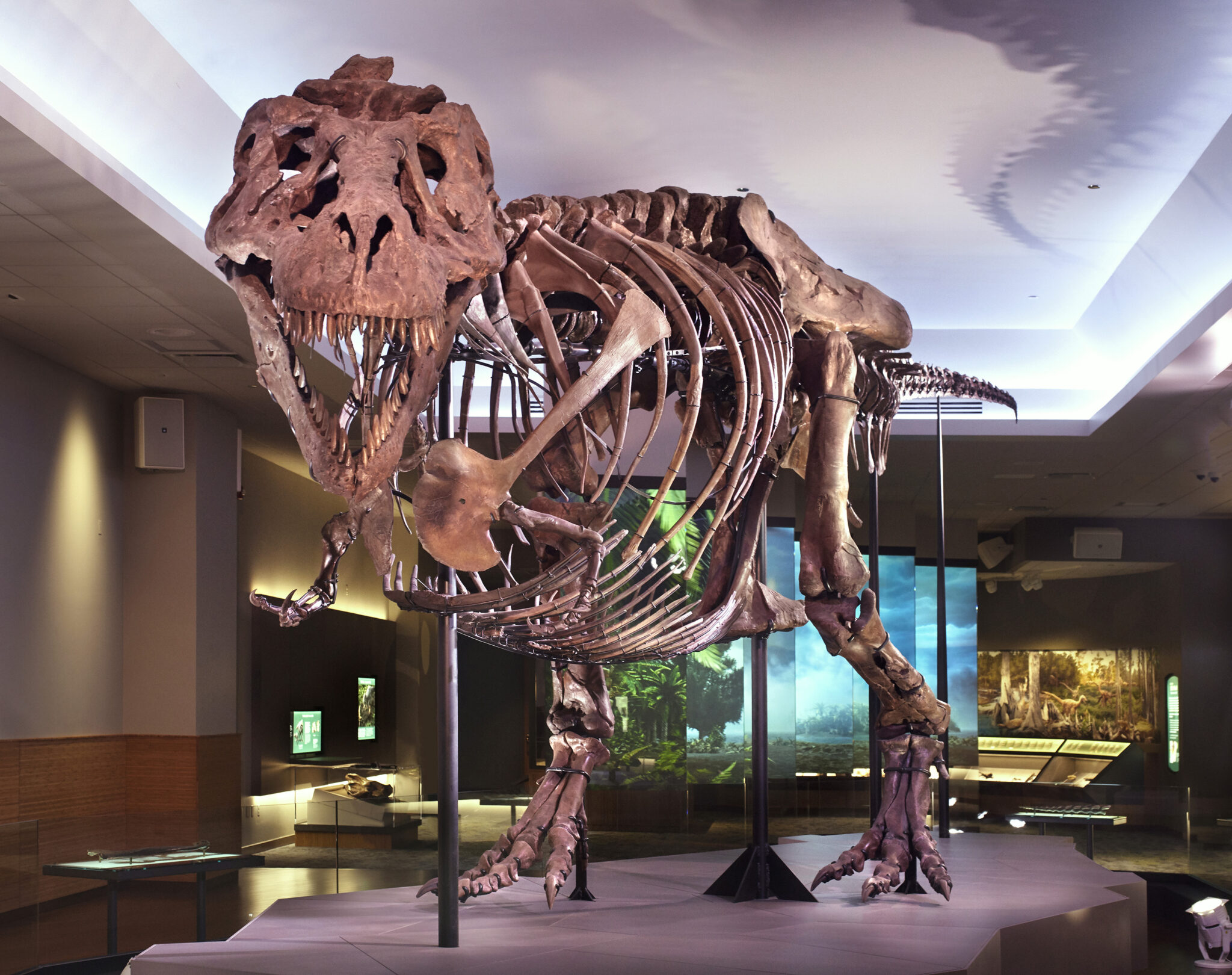 See the World’s Most Complete T. Rex Skeleton at Liberty Science Center ...