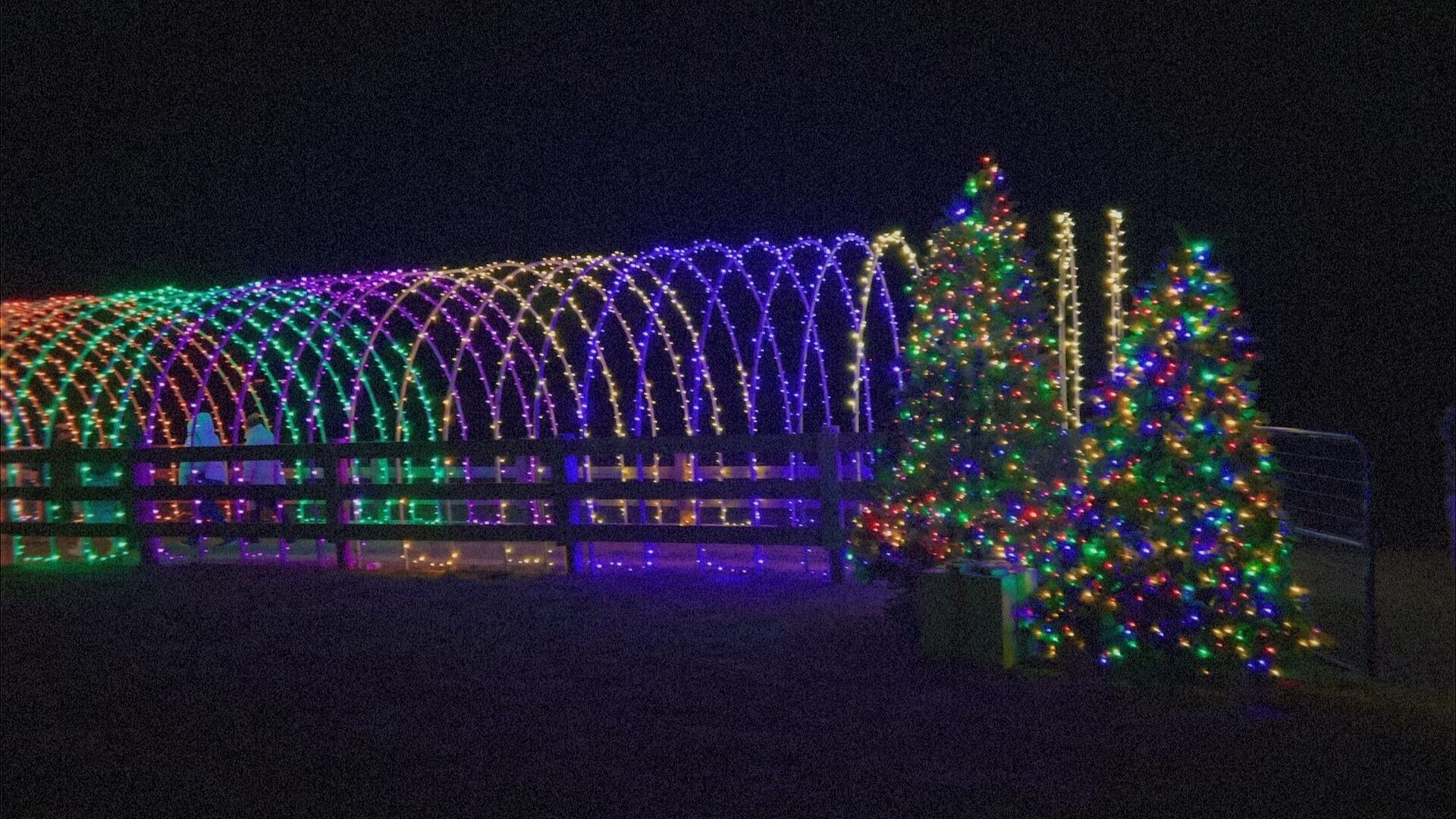 These New Jersey Farms Turn Into Winter Wonderlands For the Christmas ...