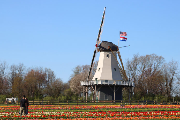 Save the Date: Holland Ridge Farms’ Tulip Season Returns April 10 - NJ ...