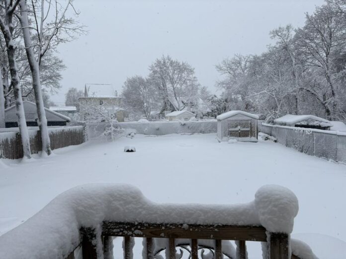 See Photos of the Historic 2026 Blizzard That Buried New Jersey - NJ Family