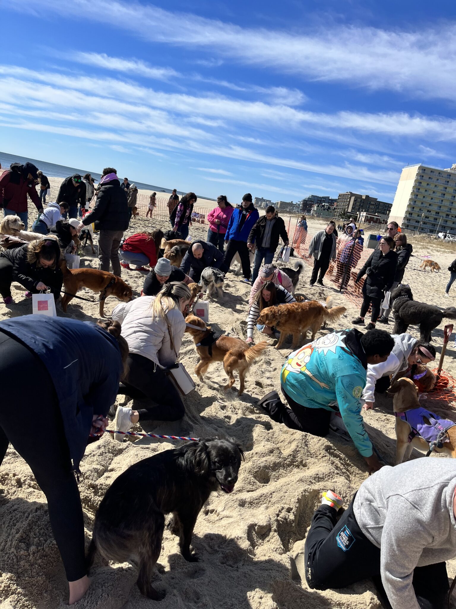 Dog-Friendly Events and Festivals in New Jersey You and Your Fur Babies ...
